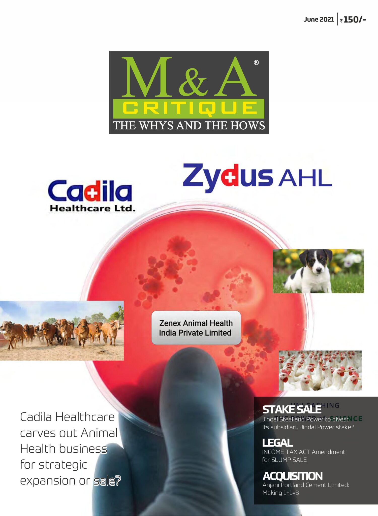 Digital Magazine | M&A Critique